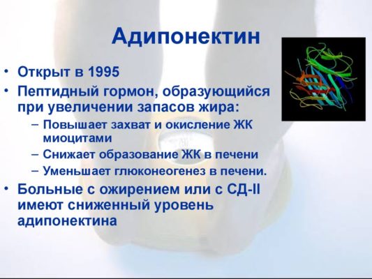 Адипонектин гормон: что это, действие адипонектина в организме